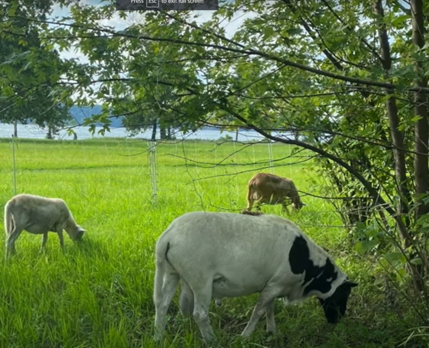 Soil for Water – Working to catch and hold more water in our soil